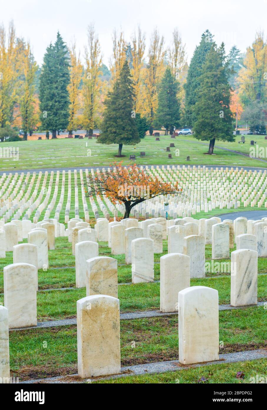 Military tombstones in grave hi-res stock photography and images - Alamy
