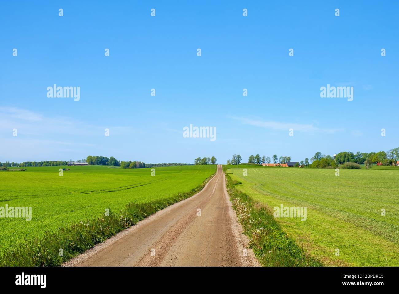 Long Straight Dirt Road High Resolution Stock Photography and Images ...