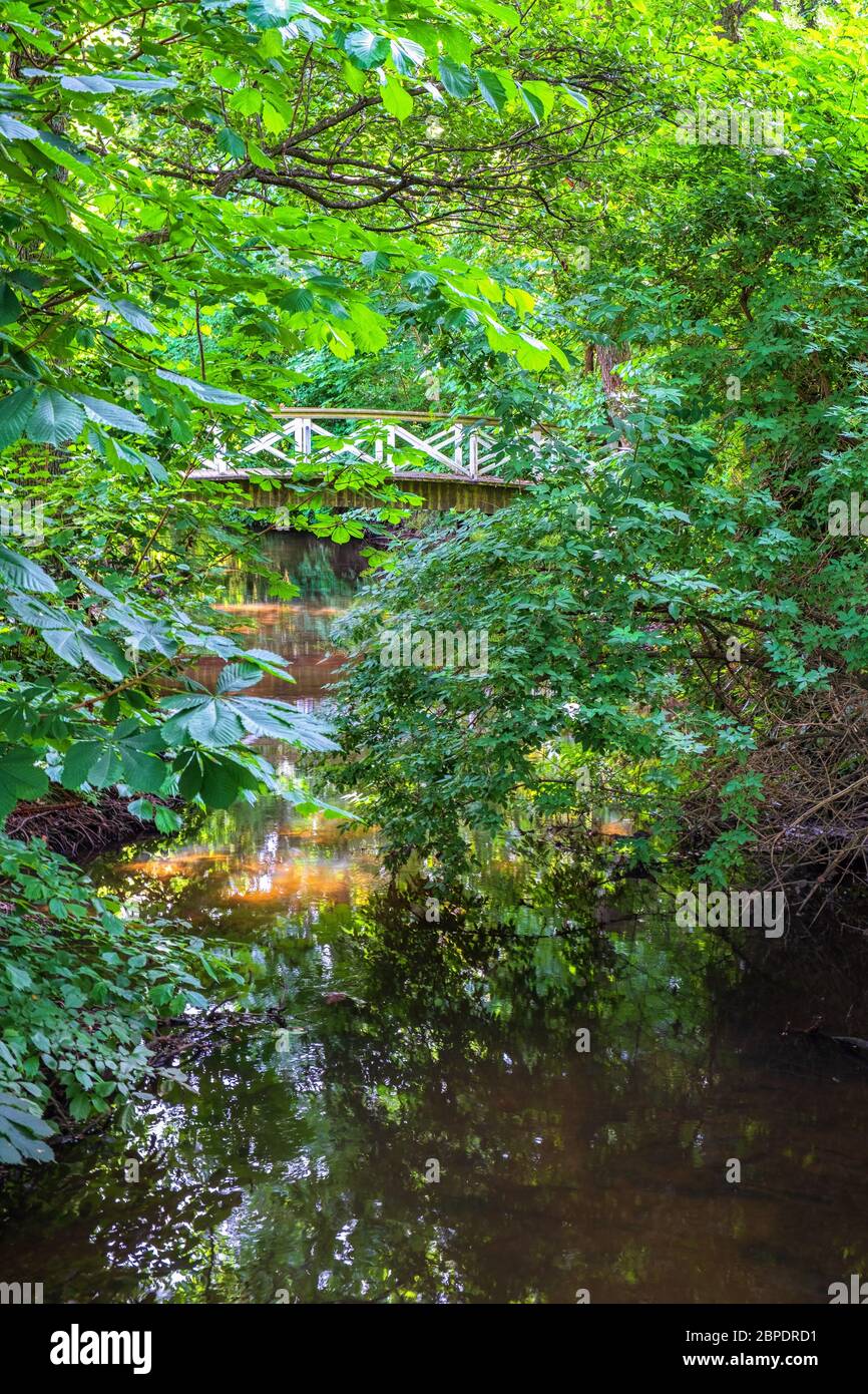 Tree branch over river surface hi-res stock photography and images - Alamy