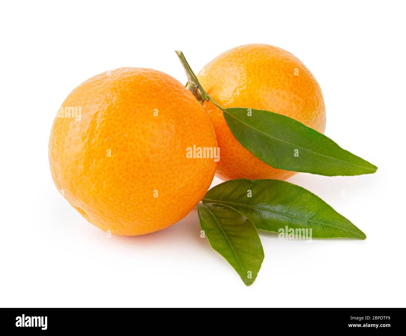 Fresh juicy whole mandarins with green leaves on white background Stock ...