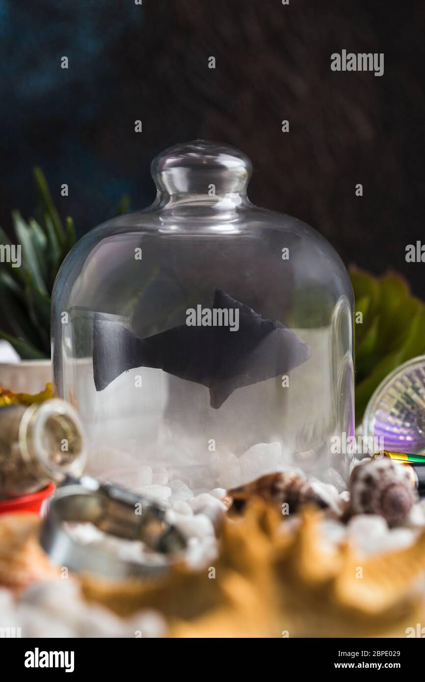 silhouette of fish under glass jar in polluted sea creative concept ...