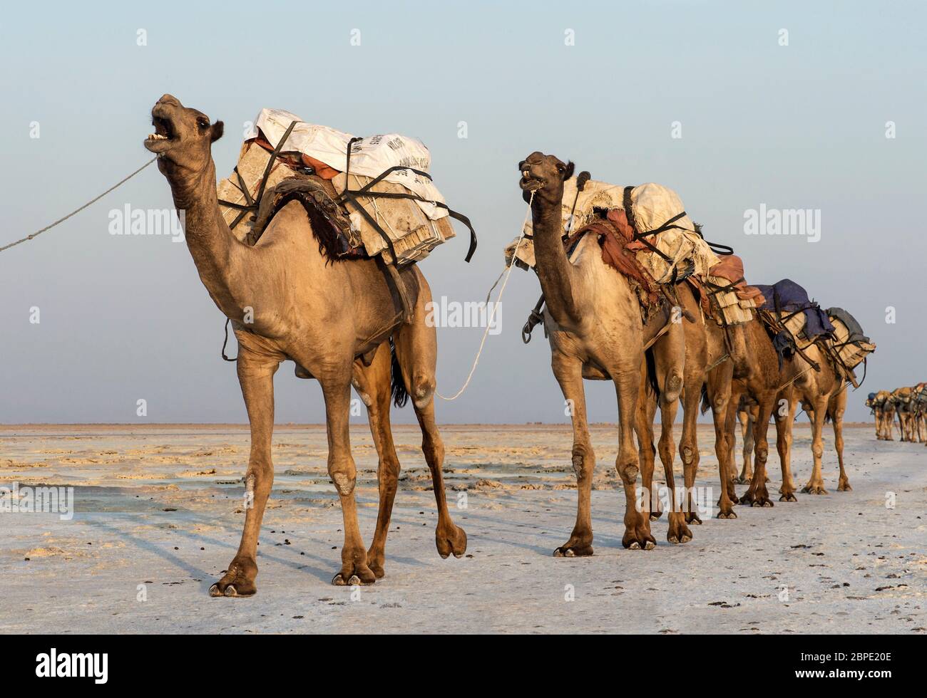 Caravan body hi-res stock photography and images - Alamy