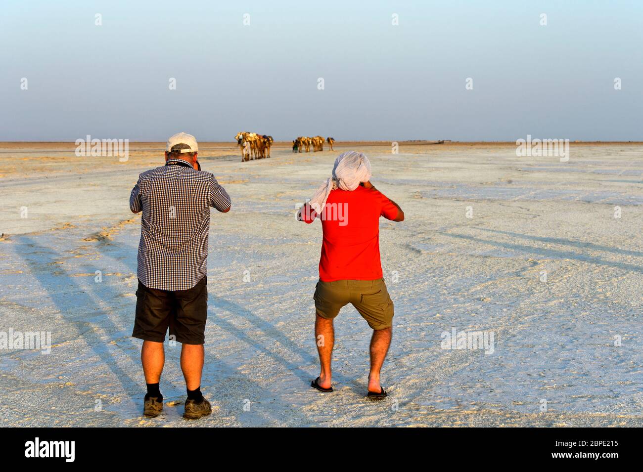 Western tourists with camera in hand eagerly awaiting a dromedary ...