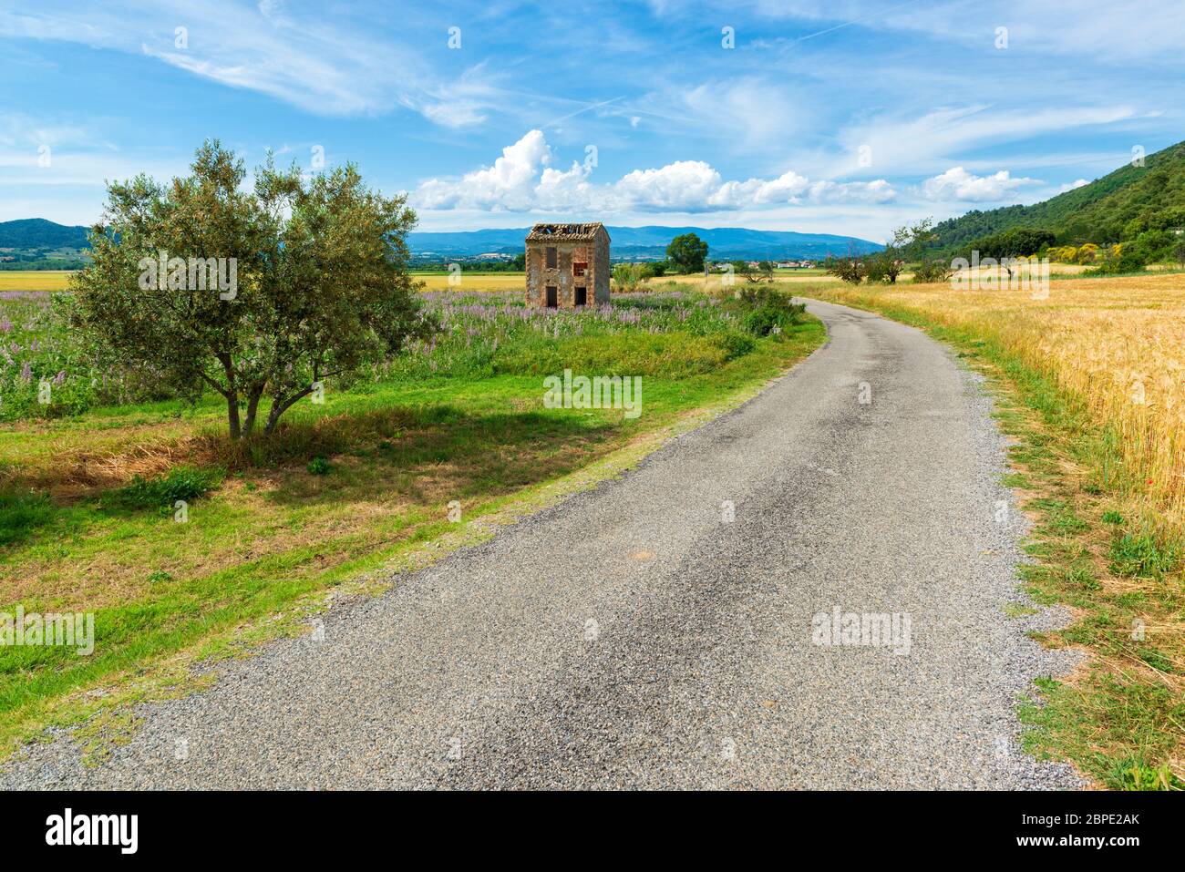 Road in Provence countryside. Tranquil hot summer landscape Stock Photo ...