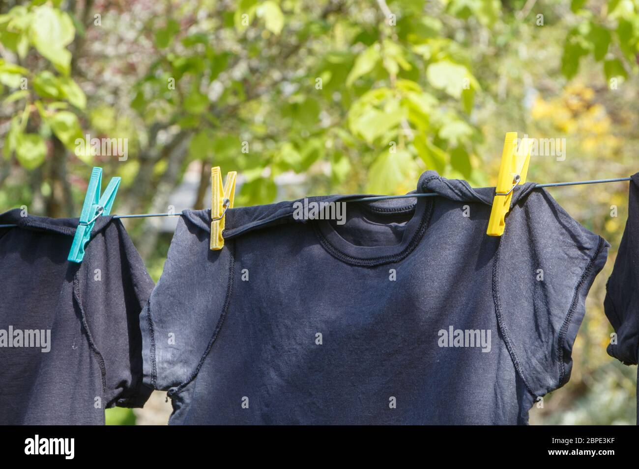 Washing line with clothes drying in a garden Stock Photo - Alamy