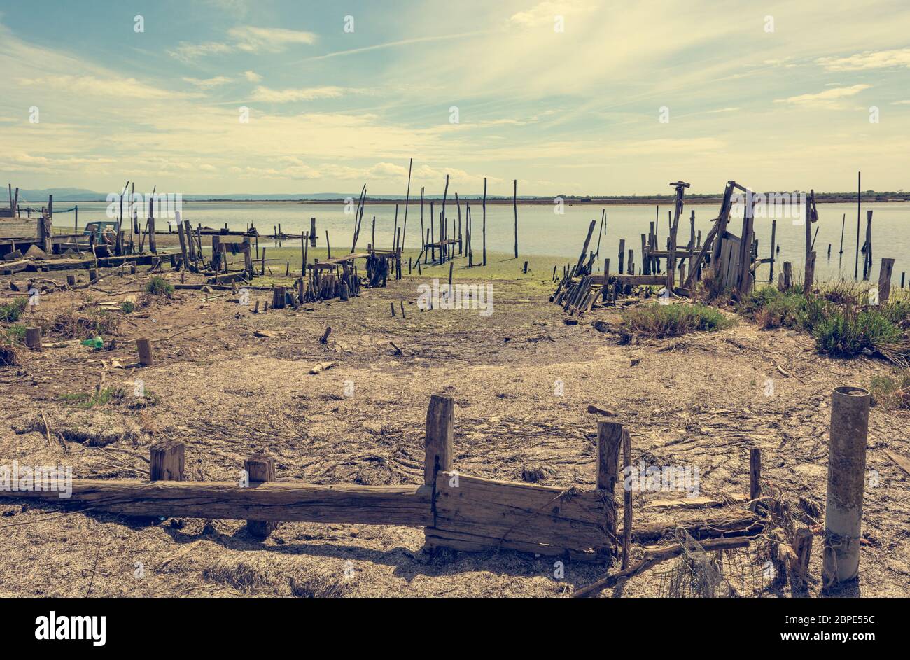 Abandoned docking pillars and dock for small boats covered with moss ...