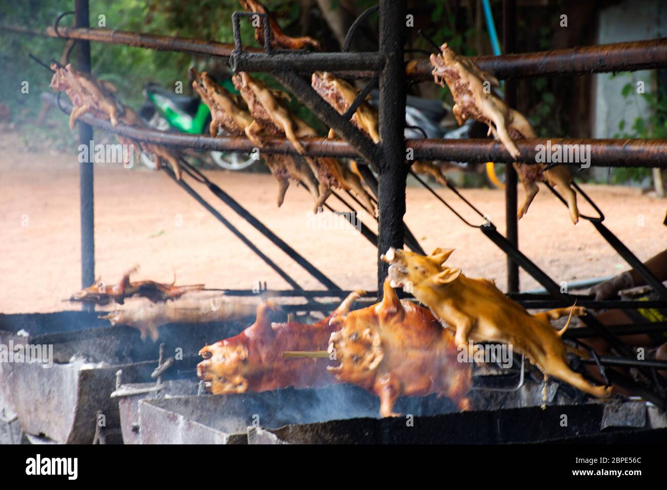 MUKDAHAN, THAILAND - NOVEMBER 12 : Thai chefs people cooking roast and ...