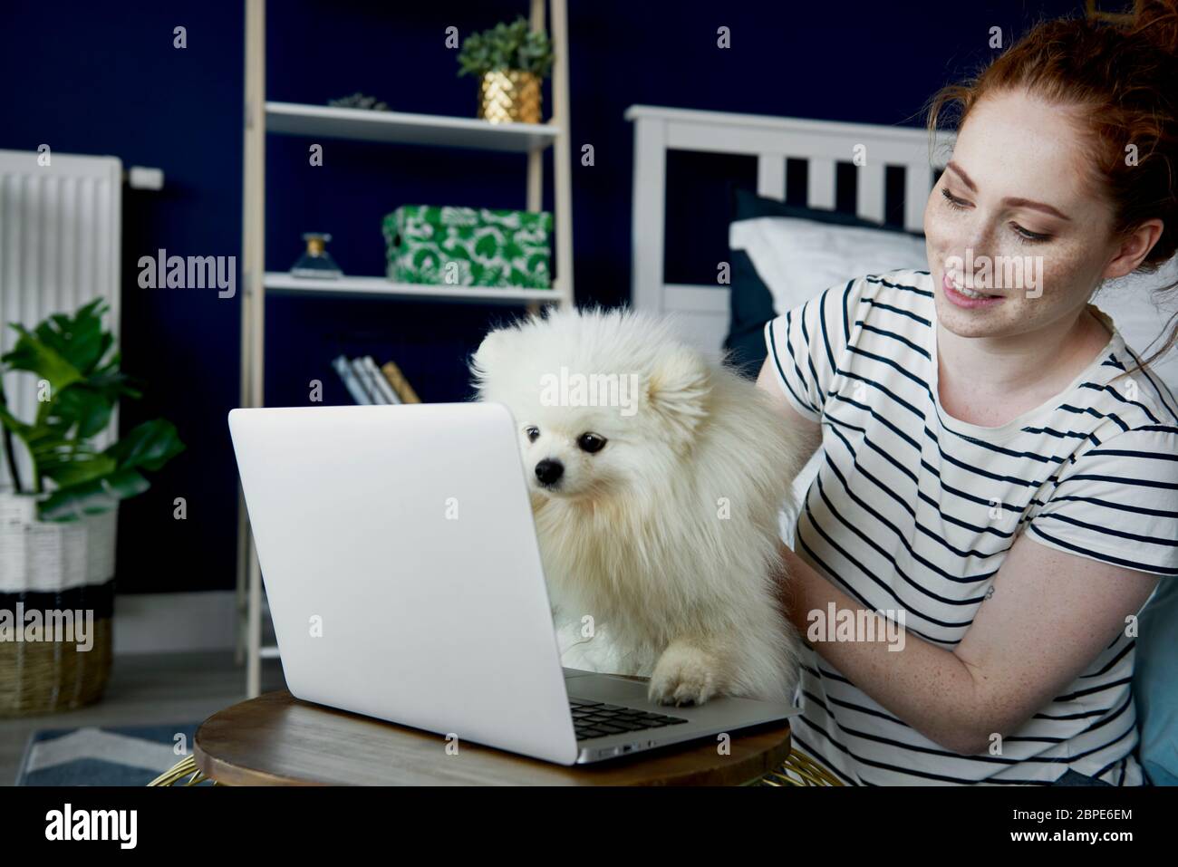 Helper person hi-res stock photography and images - Alamy