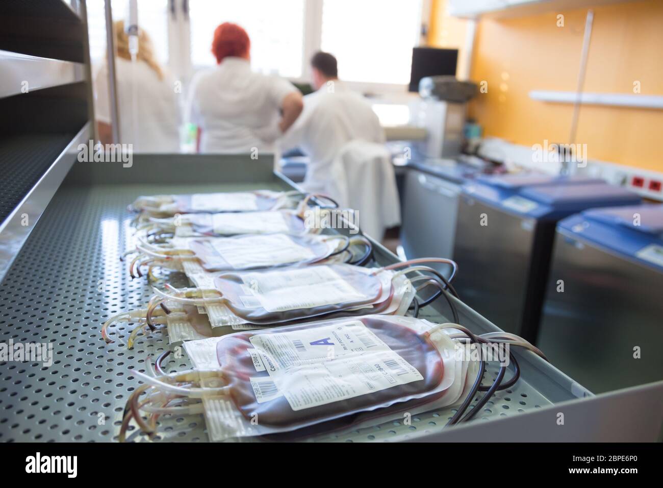 Blood bags in a hematological laboratory before the separation ...