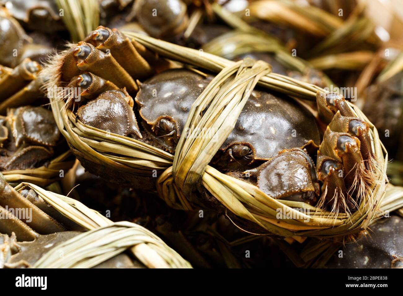 Hairy crab shanghai hi-res stock photography and images - Alamy
