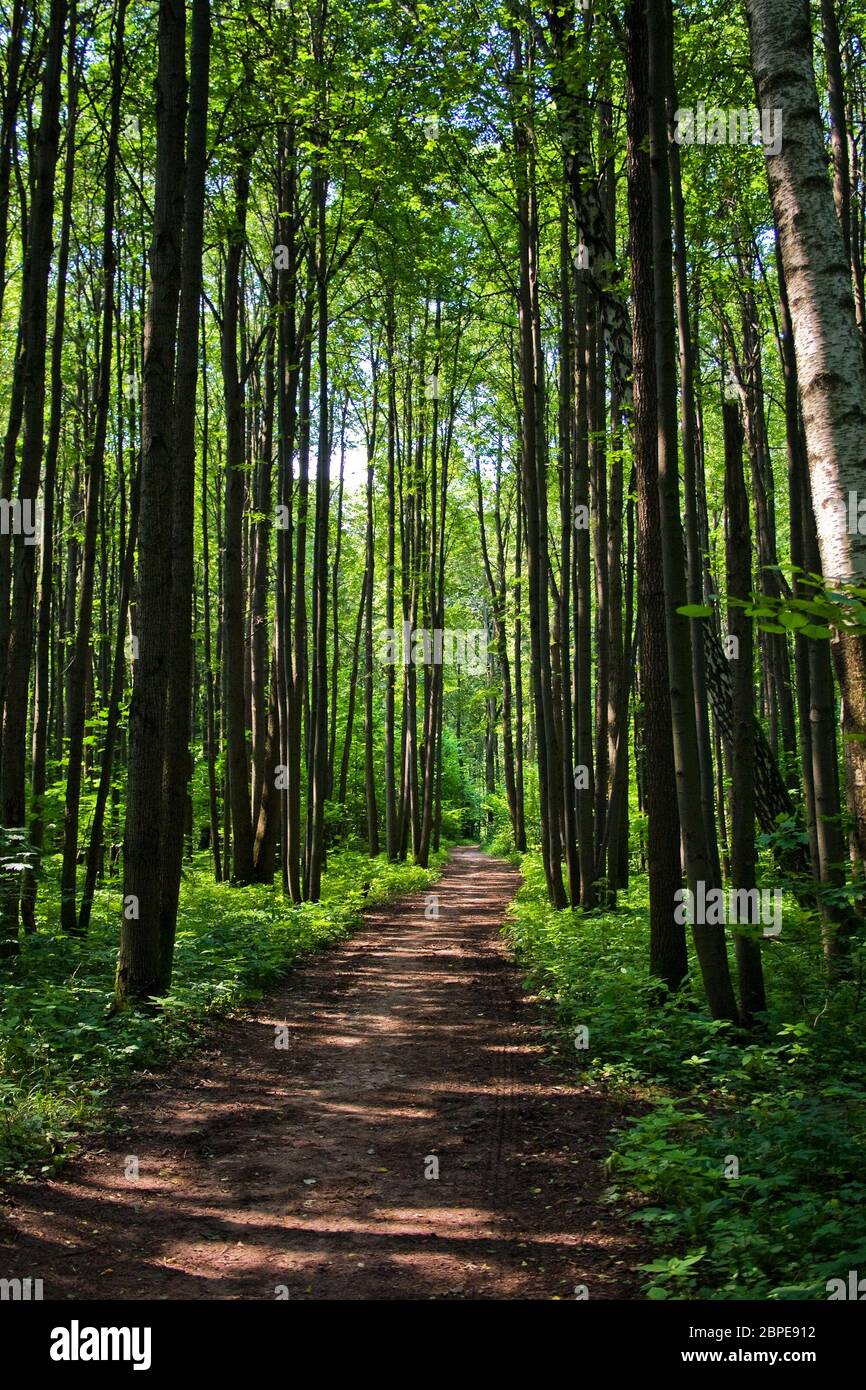 Bitsa park hi-res stock photography and images - Alamy