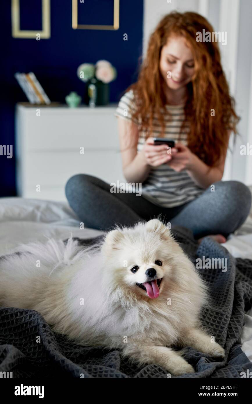 Dog owner information hi-res stock photography and images - Alamy