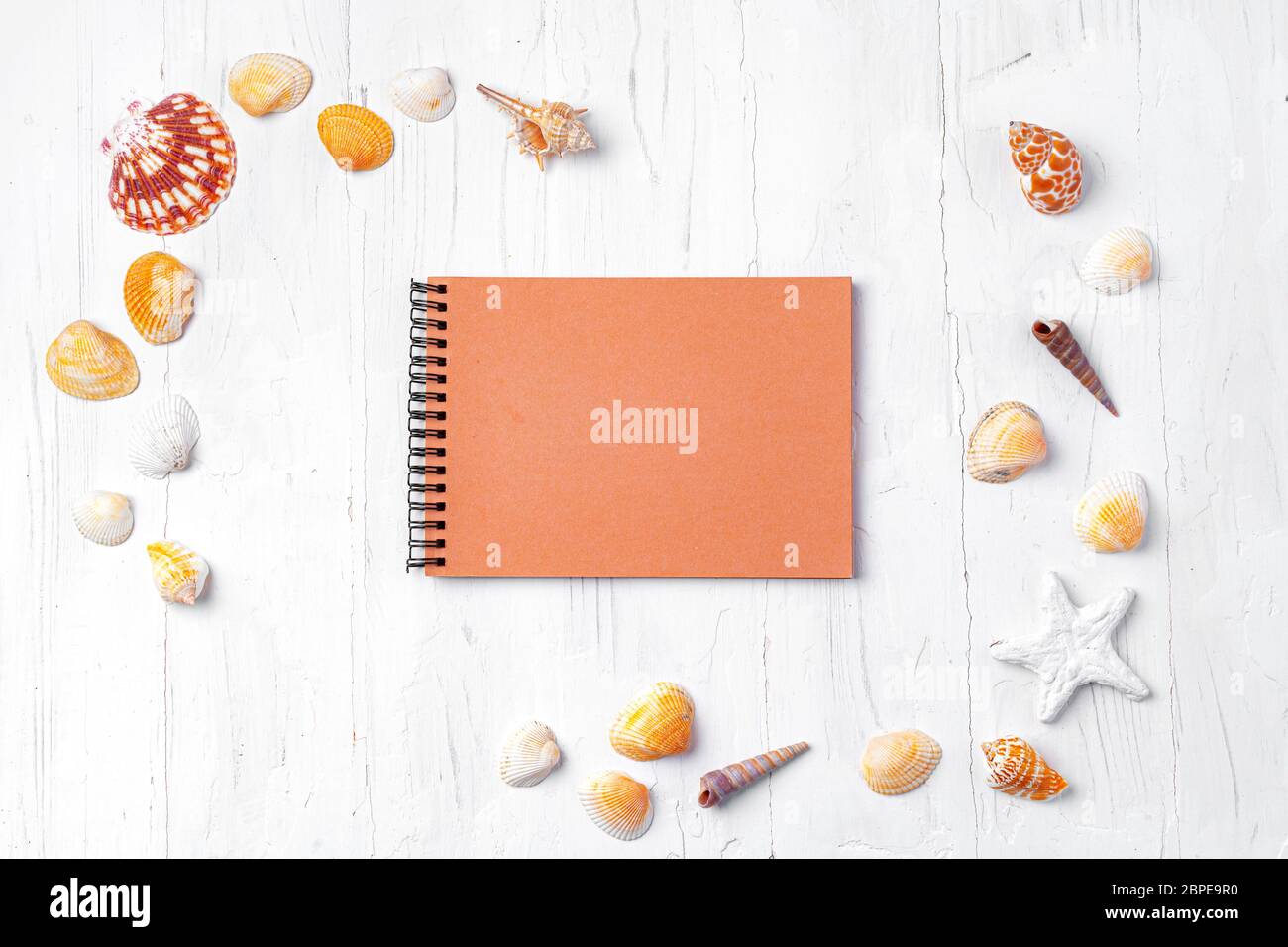 Open notepad with sea shells on white wooden background Stock Photo - Alamy