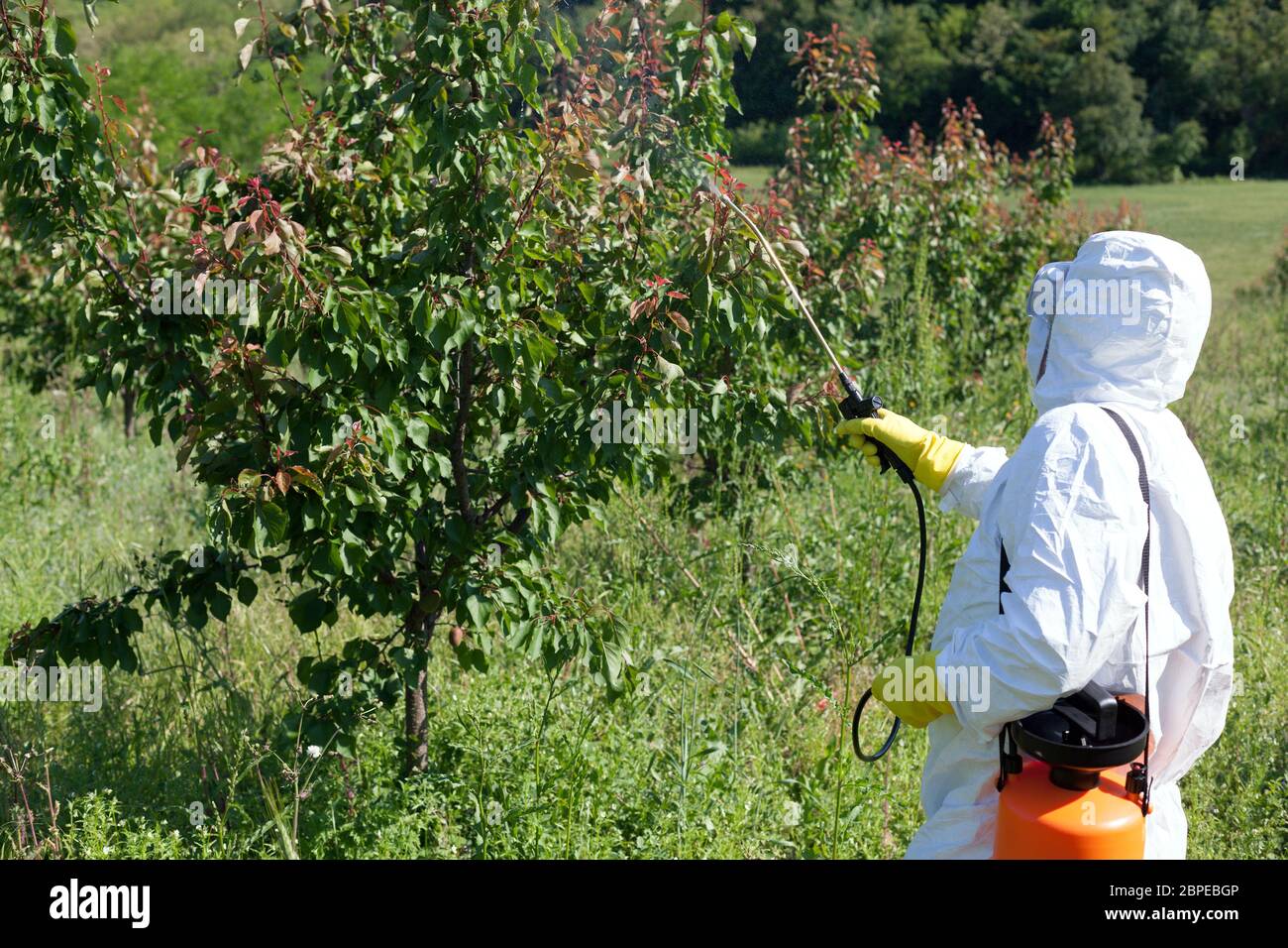 Insect management hi-res stock photography and images - Alamy