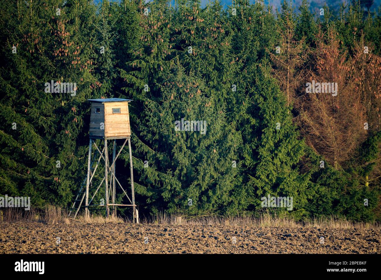 Wooden Hunters High Seat hunting tower in rural Landscape, Czech ...