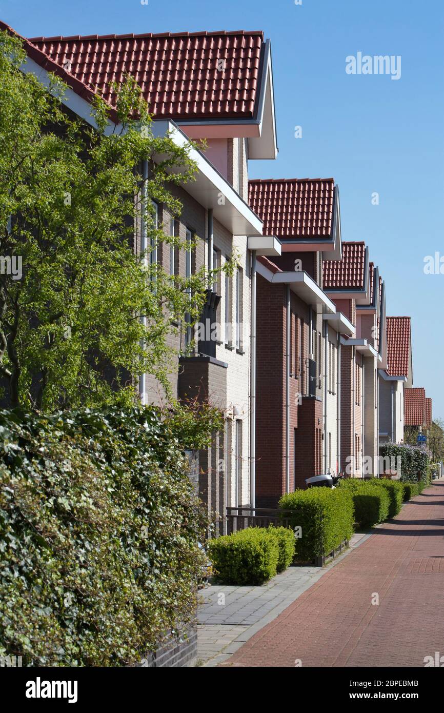 Middle class neighborhood in the Netherlands Stock Photo - Alamy