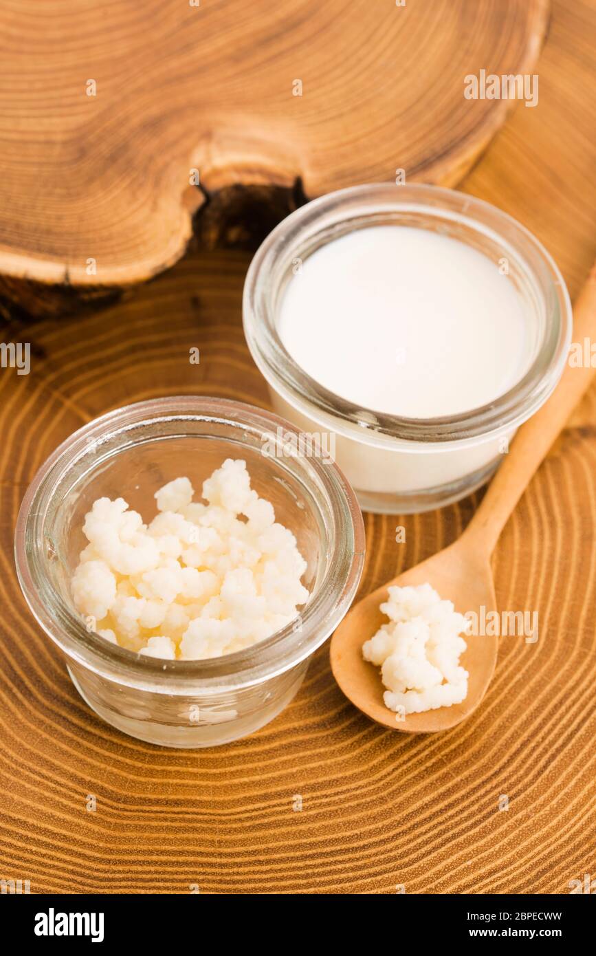 Organic probiotic milk kefir grains Stock Photo - Alamy