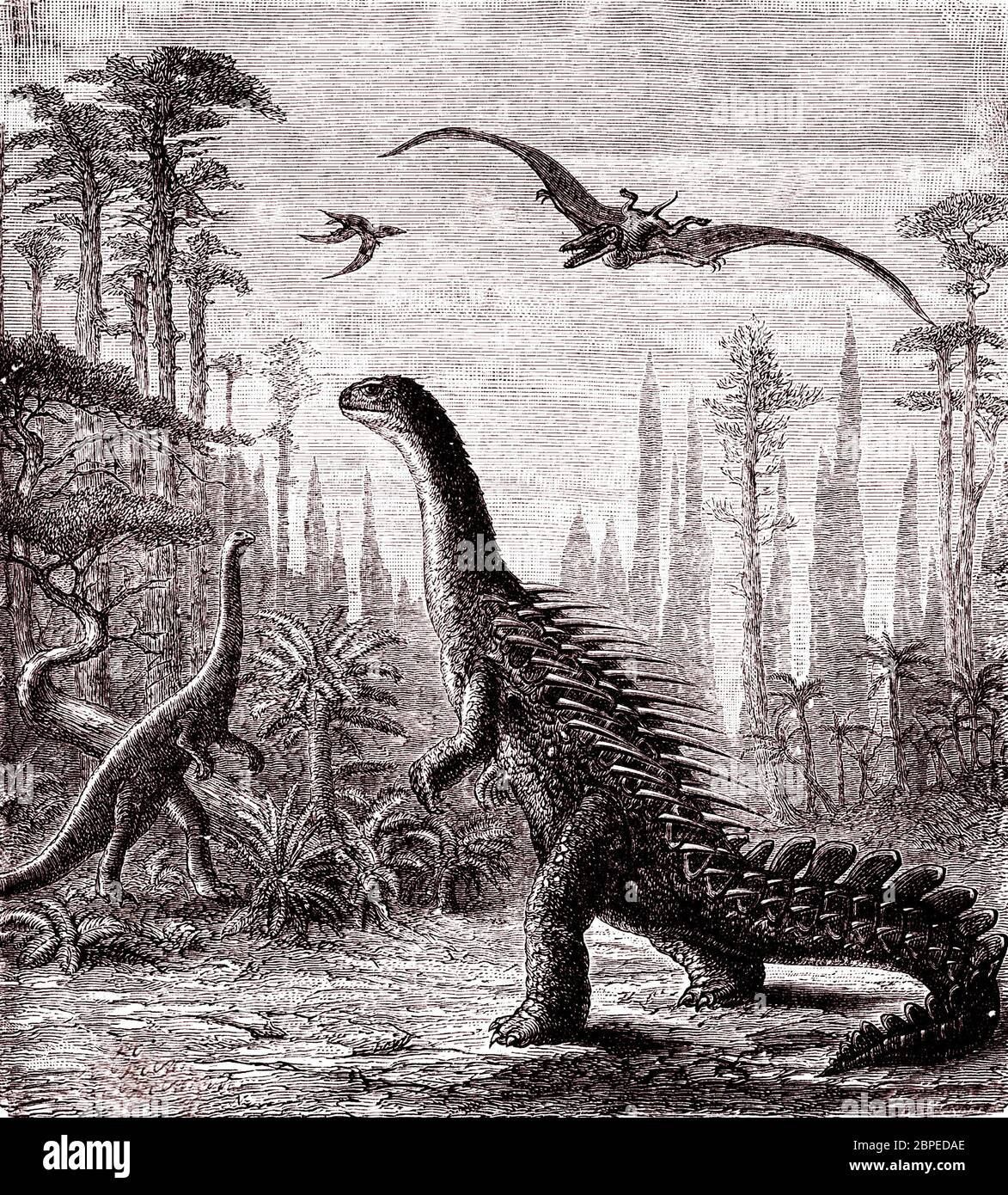 Triassic Period High Resolution Stock Photography and Images - Alamy