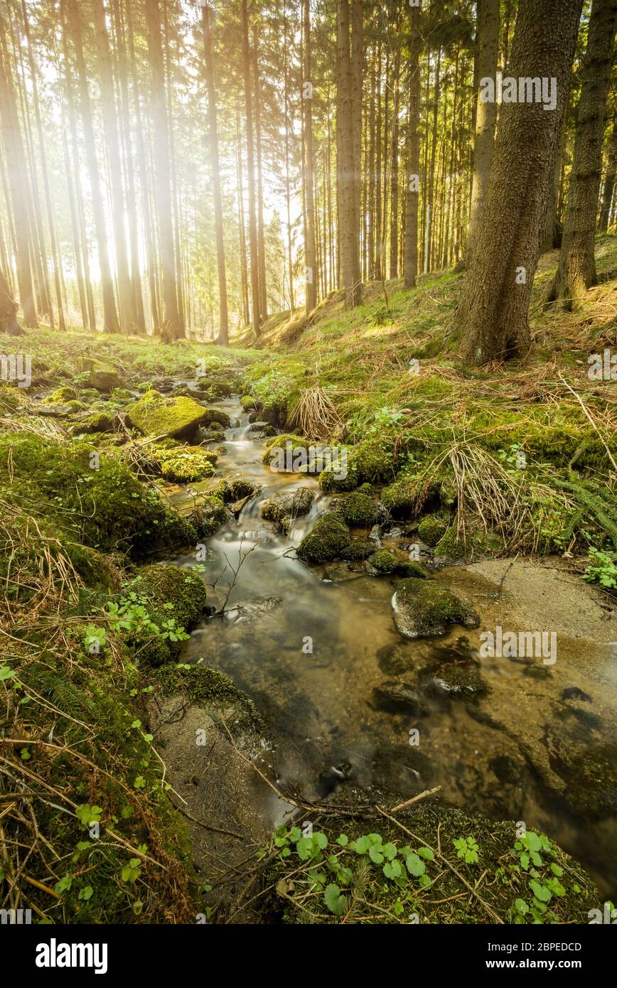 Falls on the small mountain river in a forest in spring with light leak ...