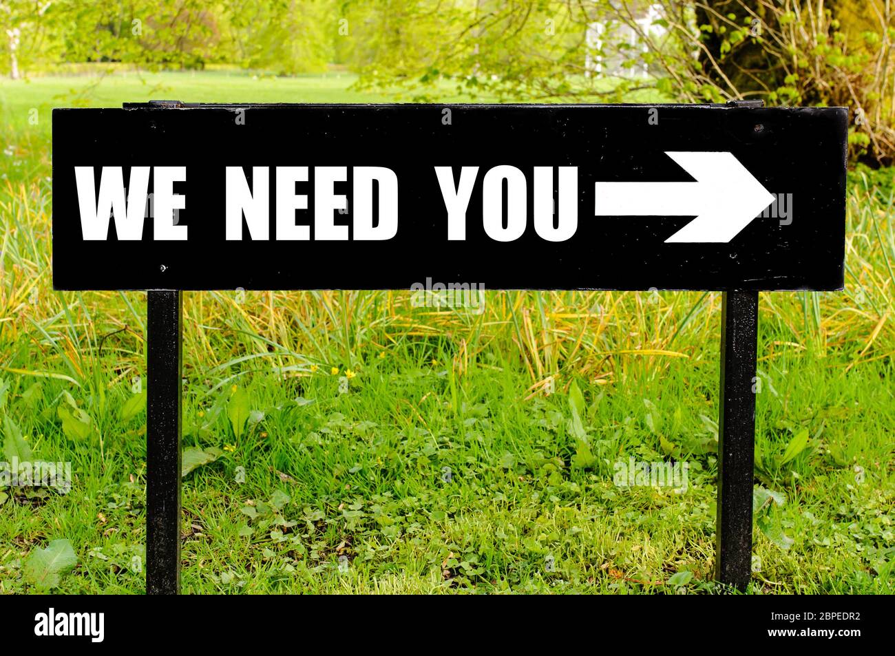 WE NEED YOU written on directional black metal sign with arrow pointing ...