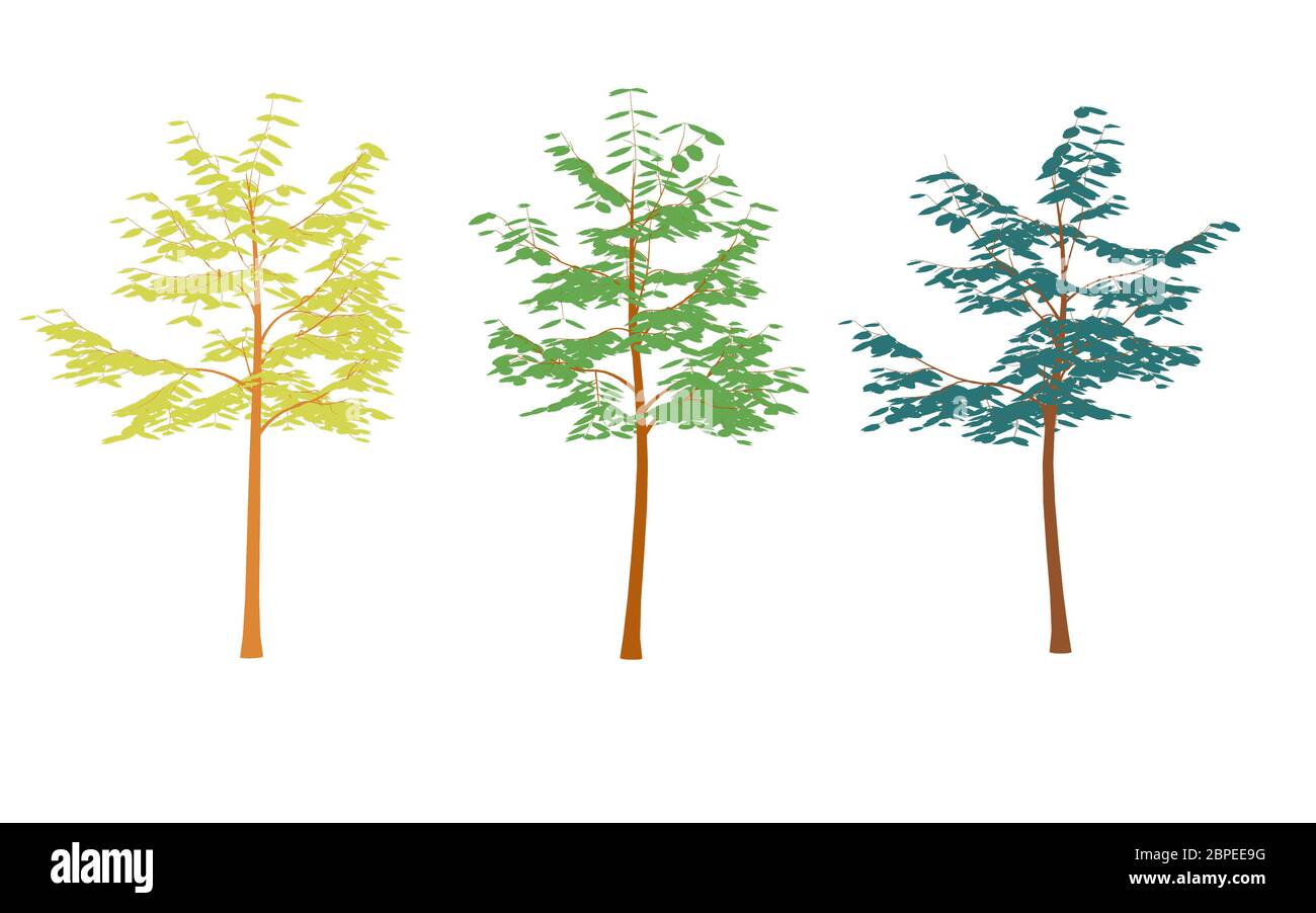 Different colored trees in flat design.Set isolated on white Stock ...