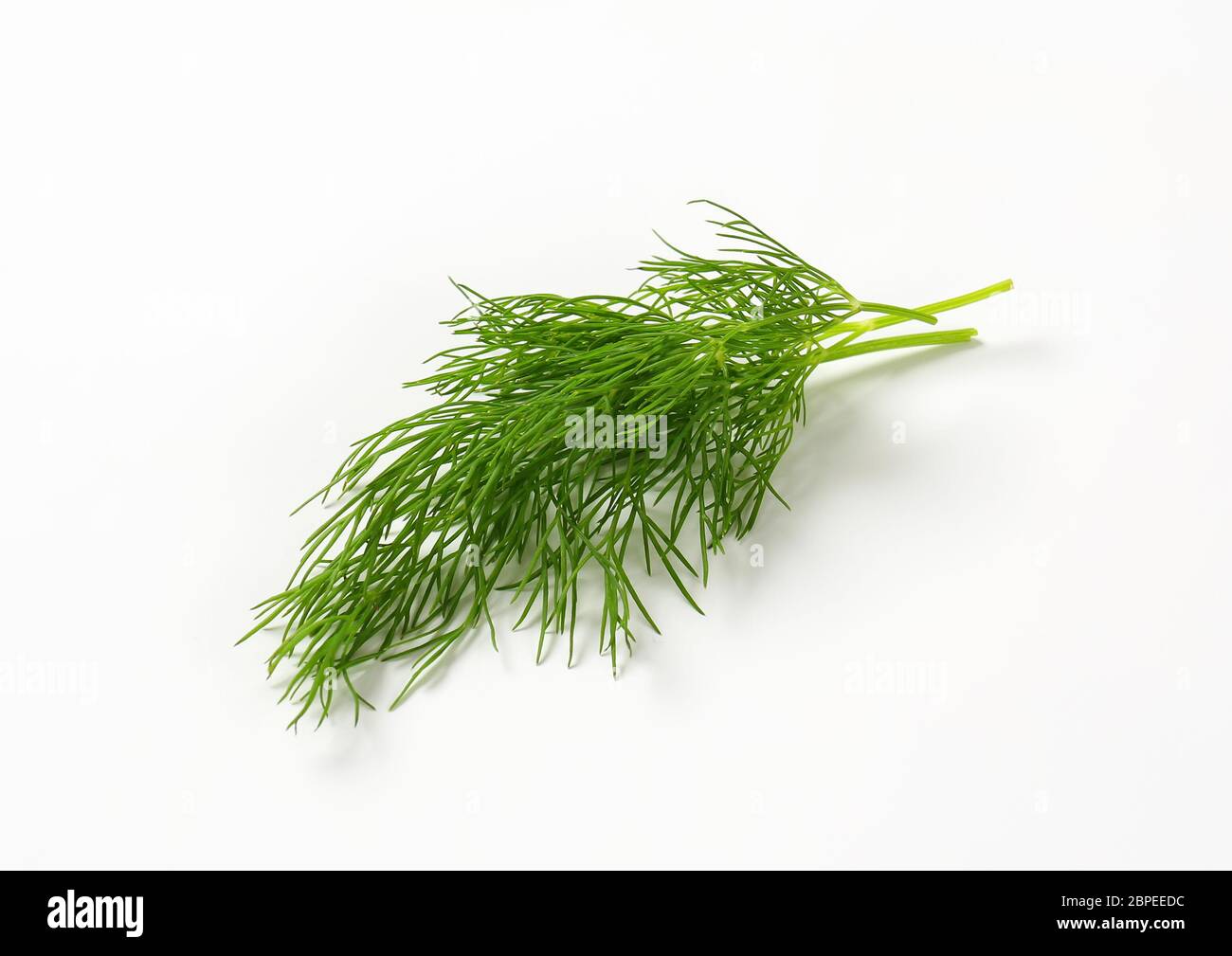 Sprigs of fresh dill weed Stock Photo - Alamy