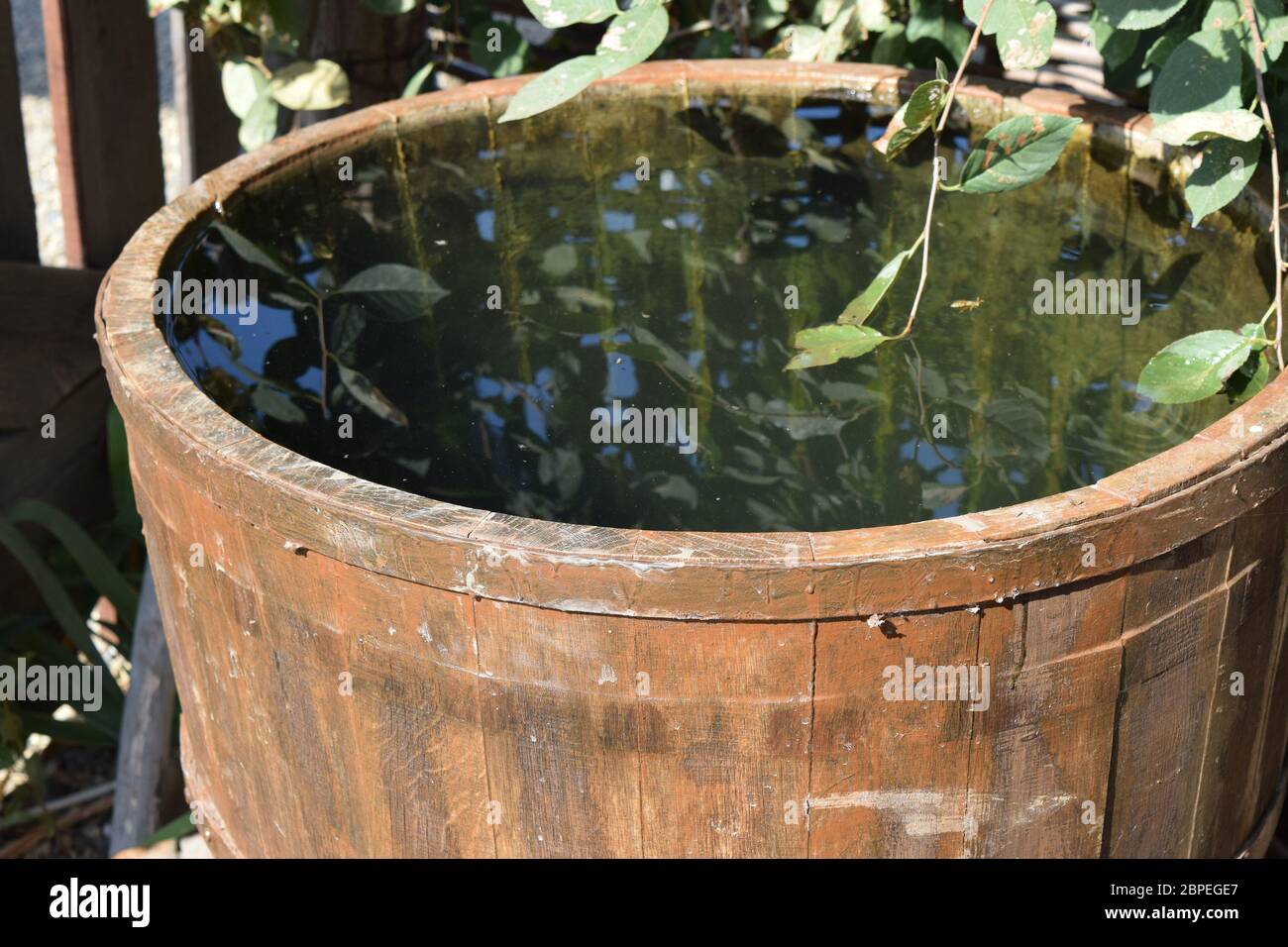 Wooden barrel filled with water. Storage in open water outdoors ...