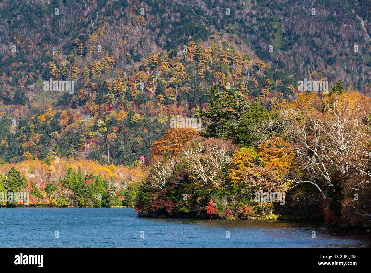 Visit nikko hi-res stock photography and images - Alamy