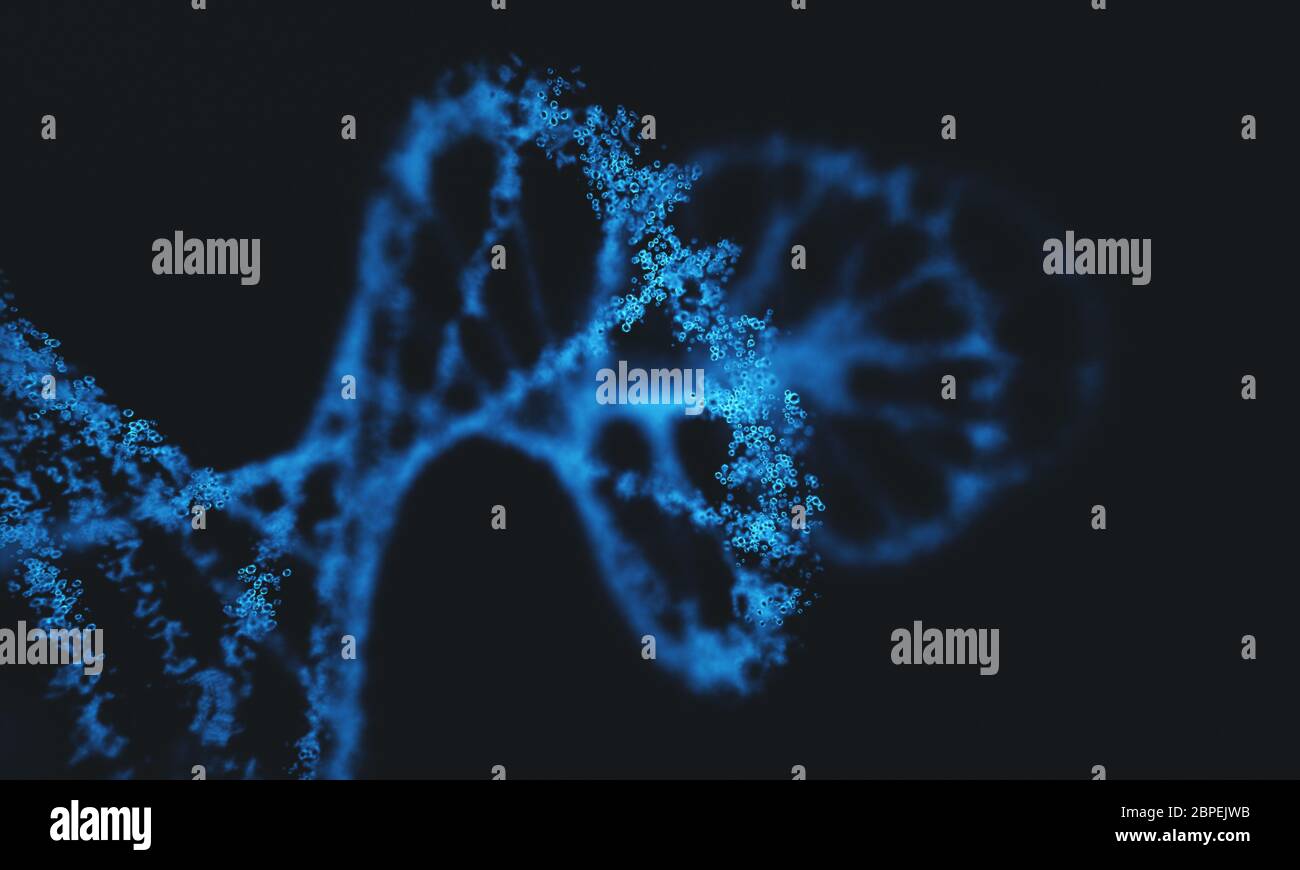 Deoxyribonucleic acid (DNA), molecule that carries the genetic ...