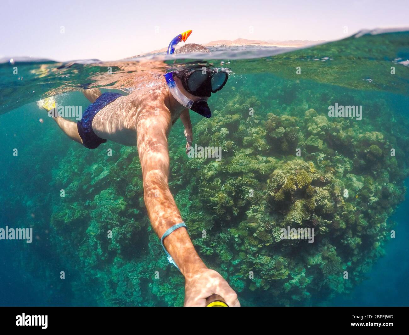 Half man half fish hi-res stock photography and images - Alamy