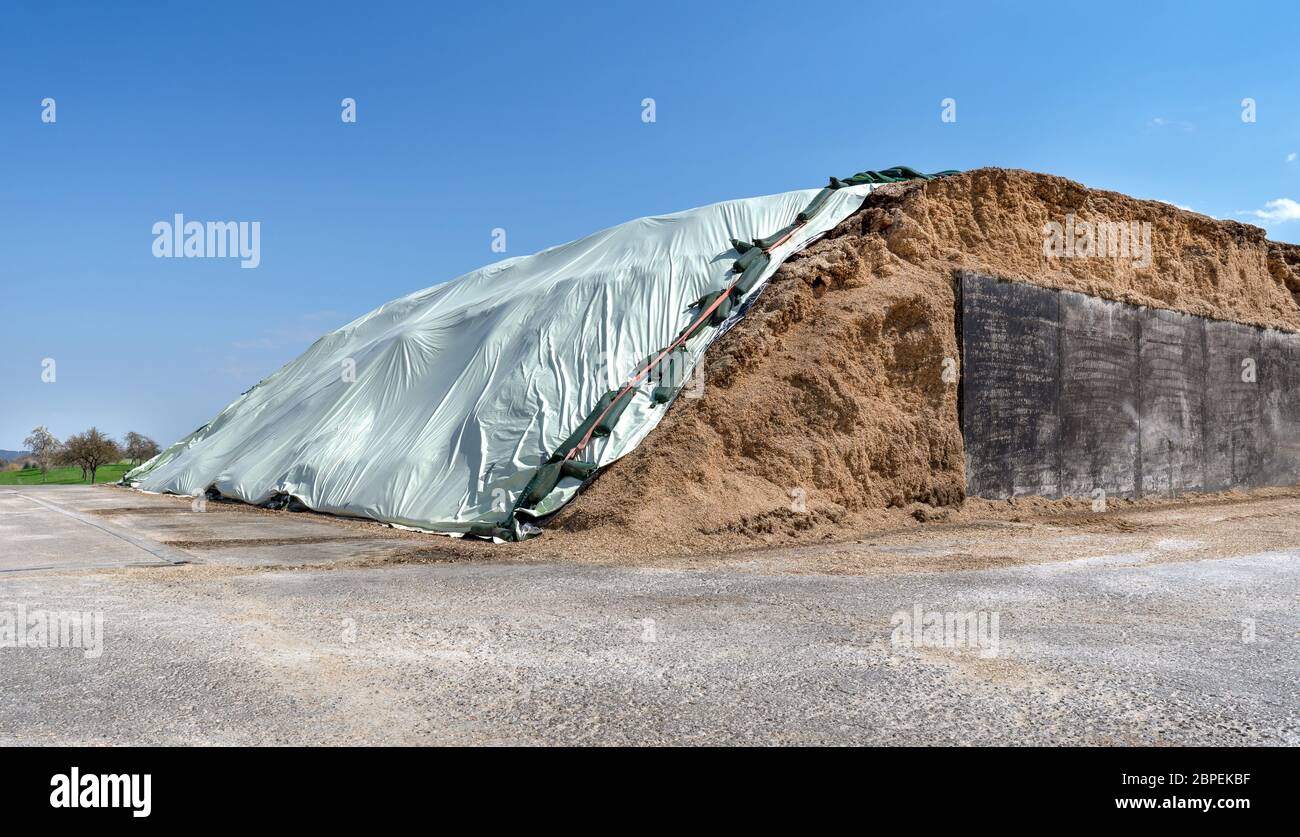 Silage plant hi-res stock photography and images - Alamy