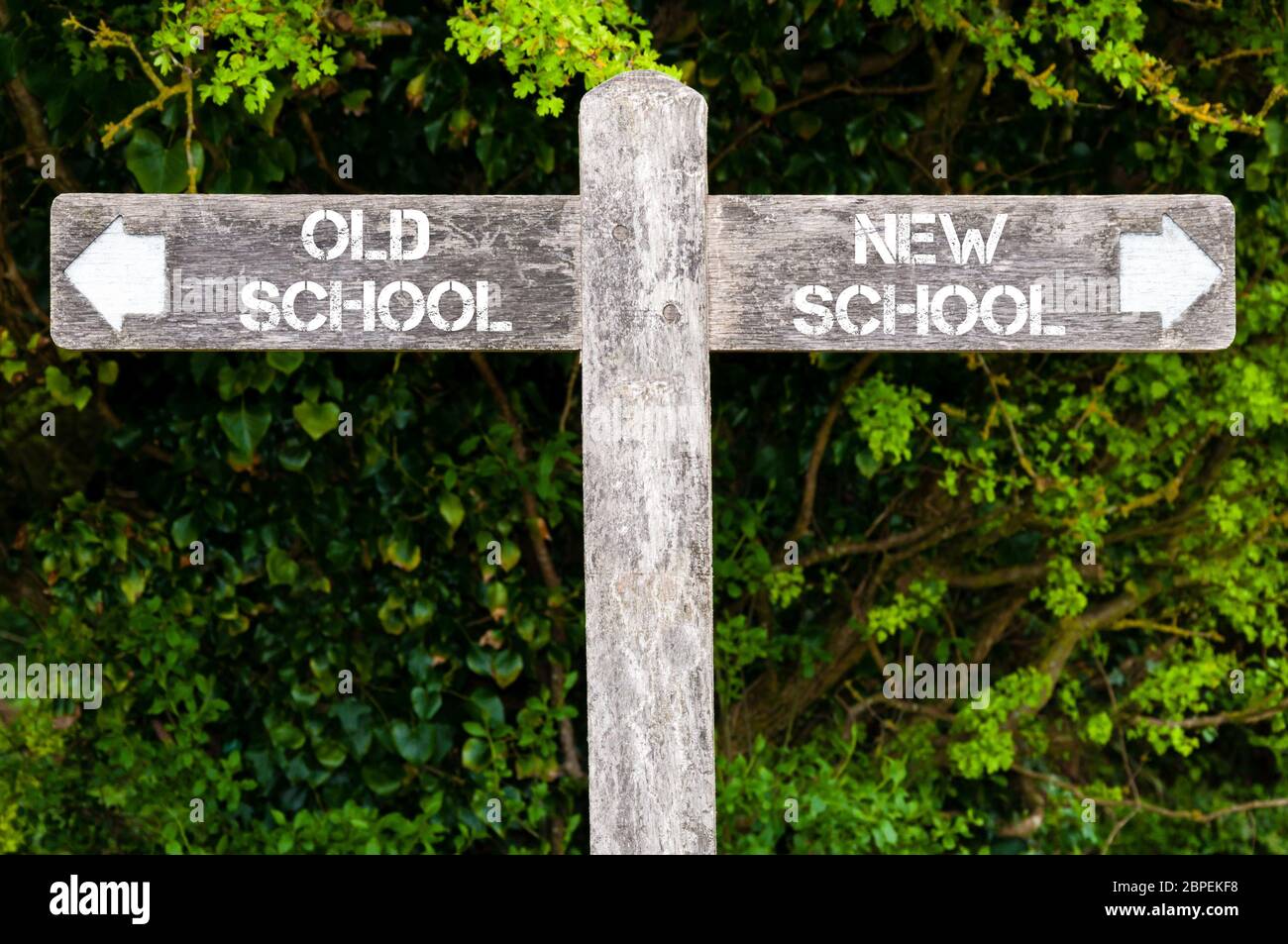 Two trees old new hi-res stock photography and images - Alamy