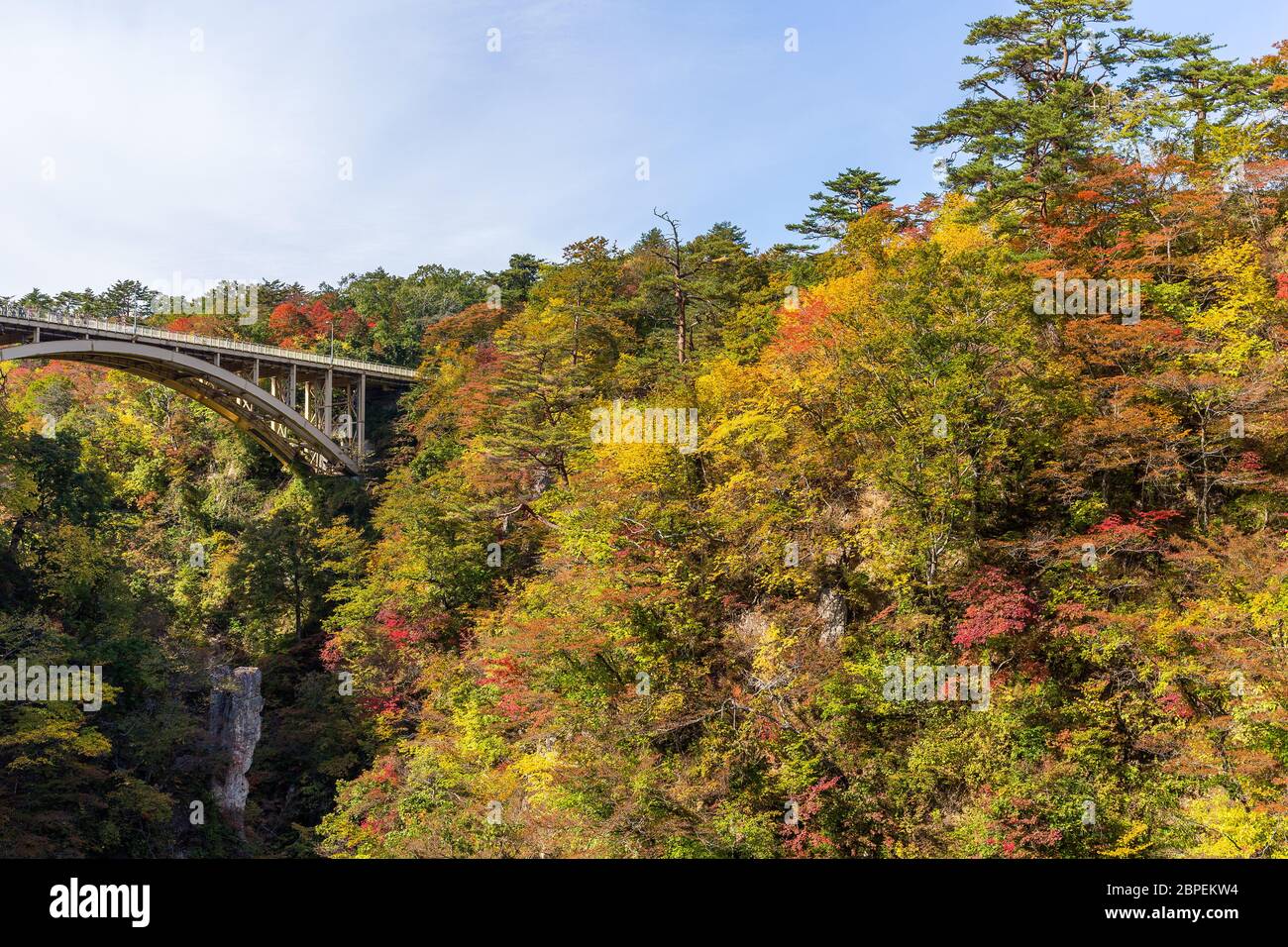 Autumn foliage on the cliff Stock Photo - Alamy