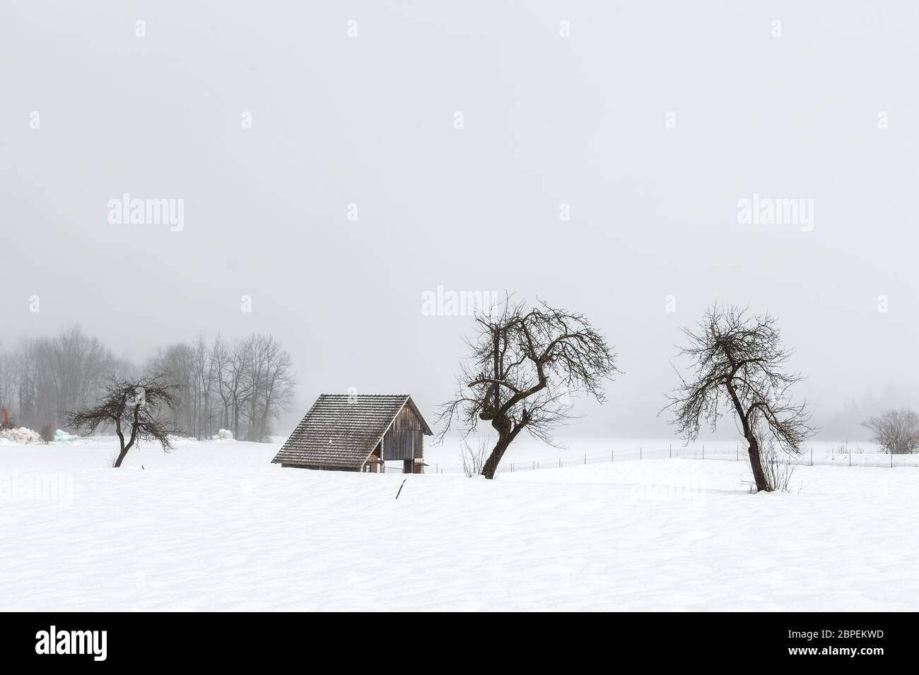 Minimalistic monochrome winter snowy hi-res stock photography and ...