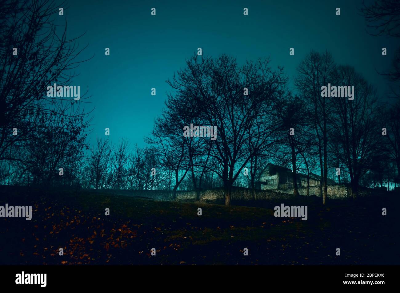 house in fog at night in the garden, Landscape of ghost house in the ...