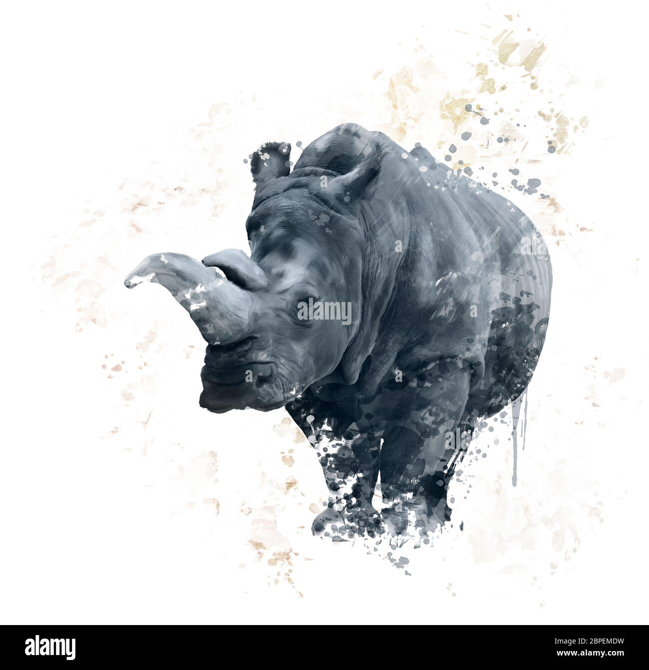 Digital Painting of White Rhinoceros Stock Photo - Alamy