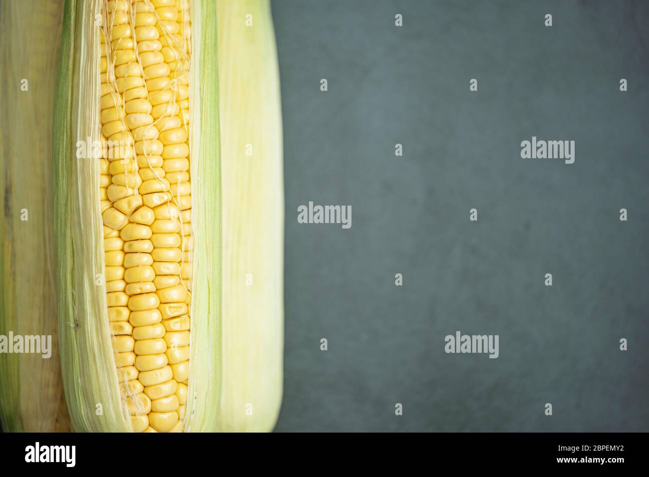 Fresh raw corn cobs on concrete, stone background. Tasty, healthy and ...