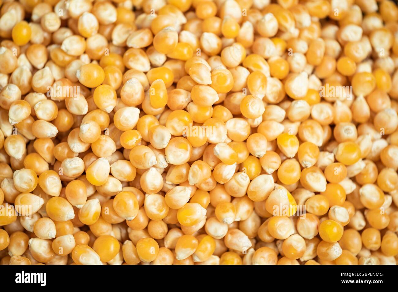 Corn seed texture hi-res stock photography and images - Alamy