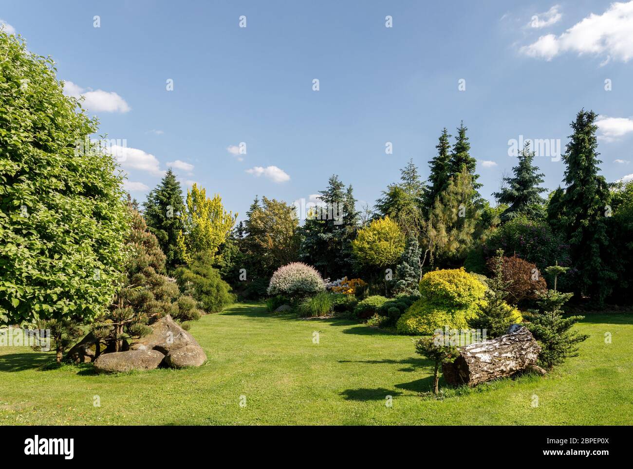 Colorful spring garden in evening sunlight. Spring gardening concept ...