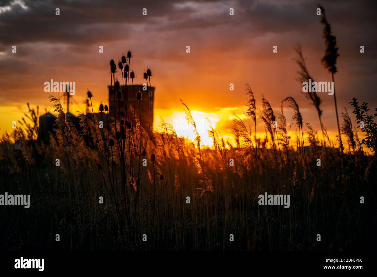 Beautiful sunset with industrial building in background Stock Photo - Alamy