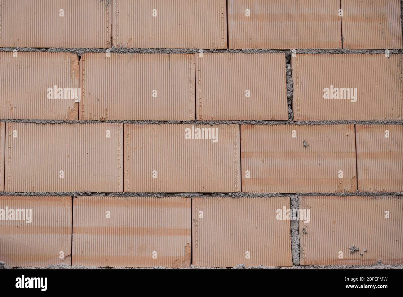 Struktur shell hi-res stock photography and images - Alamy