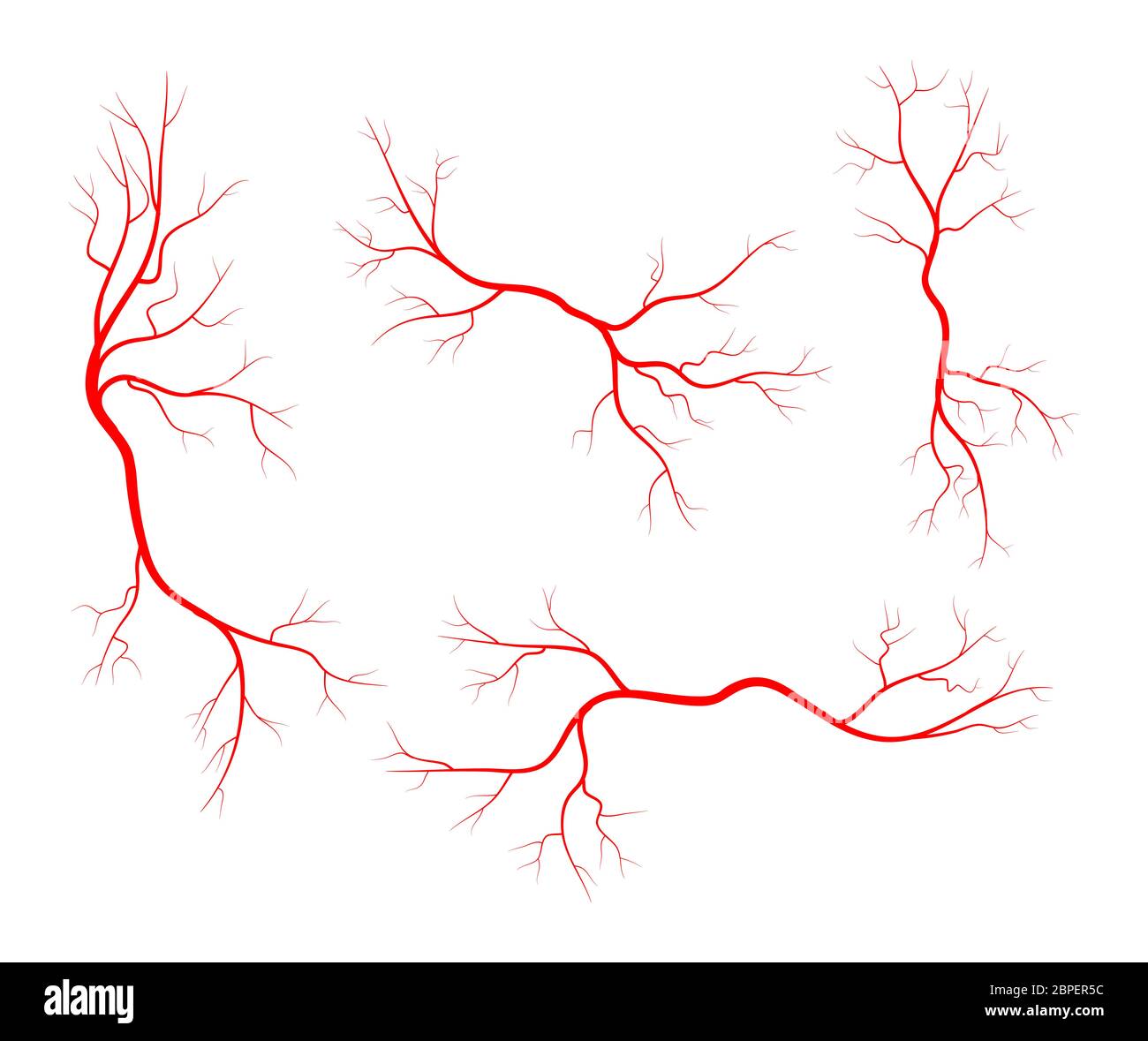Human vein, vessel set vector symbol icon design. Beautiful ...