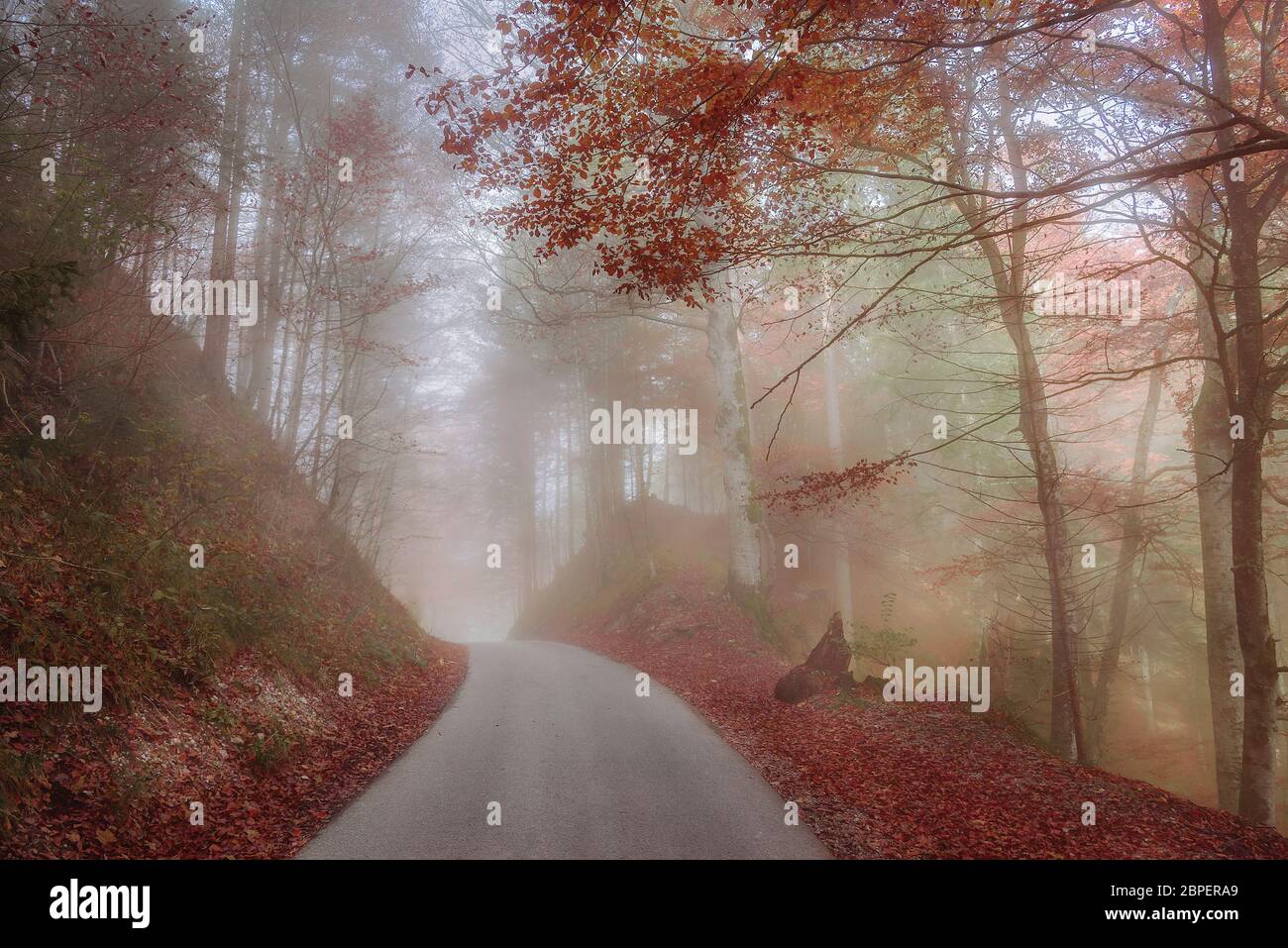 Autumn image with a colorful forest crossed by a mountain road ...
