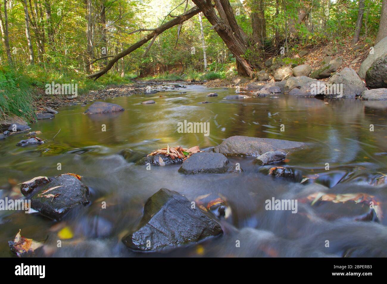 fresh water creek flowing river landscape environment Stock Photo - Alamy