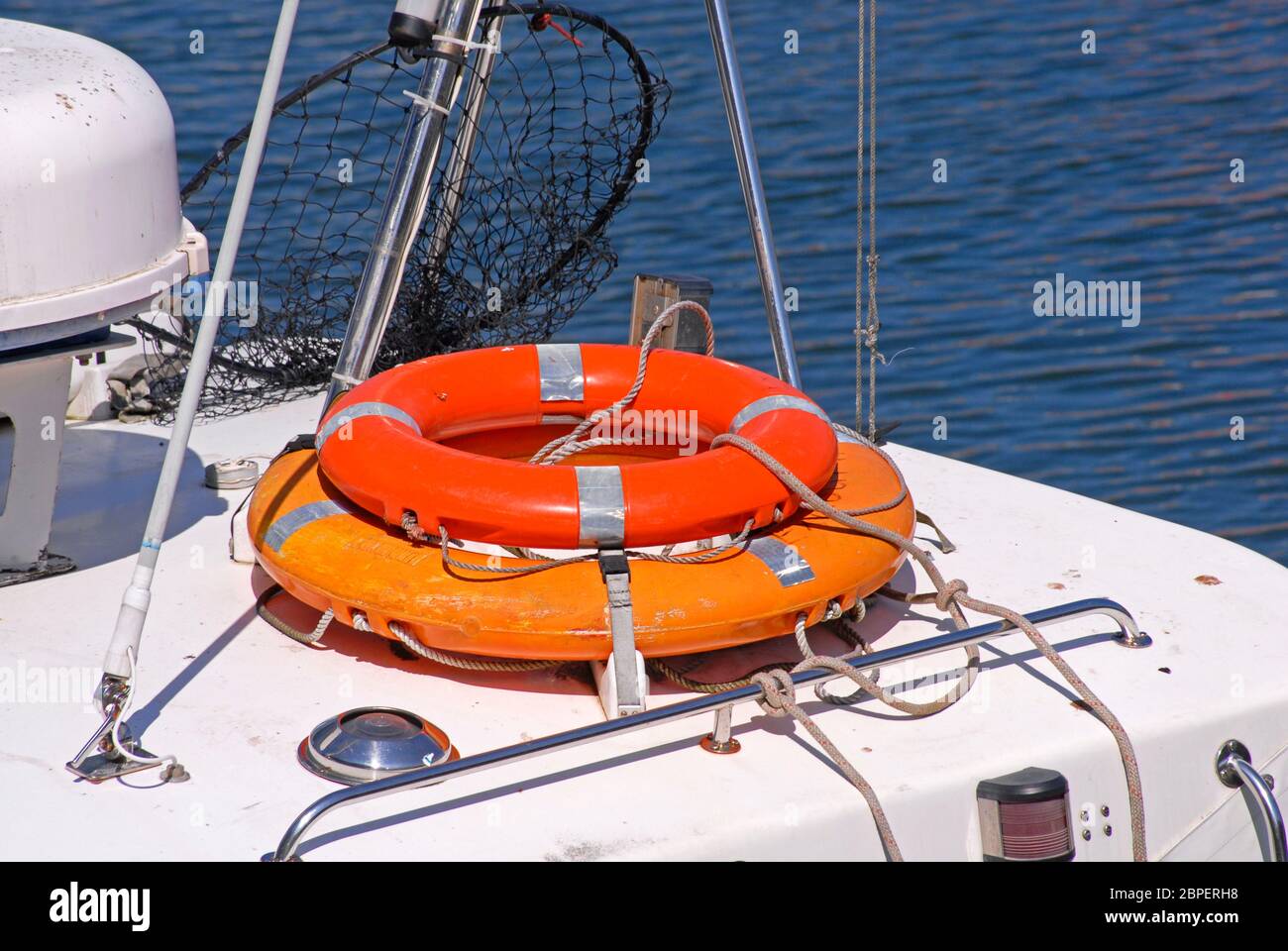 Sea life belts hi-res stock photography and images - Alamy