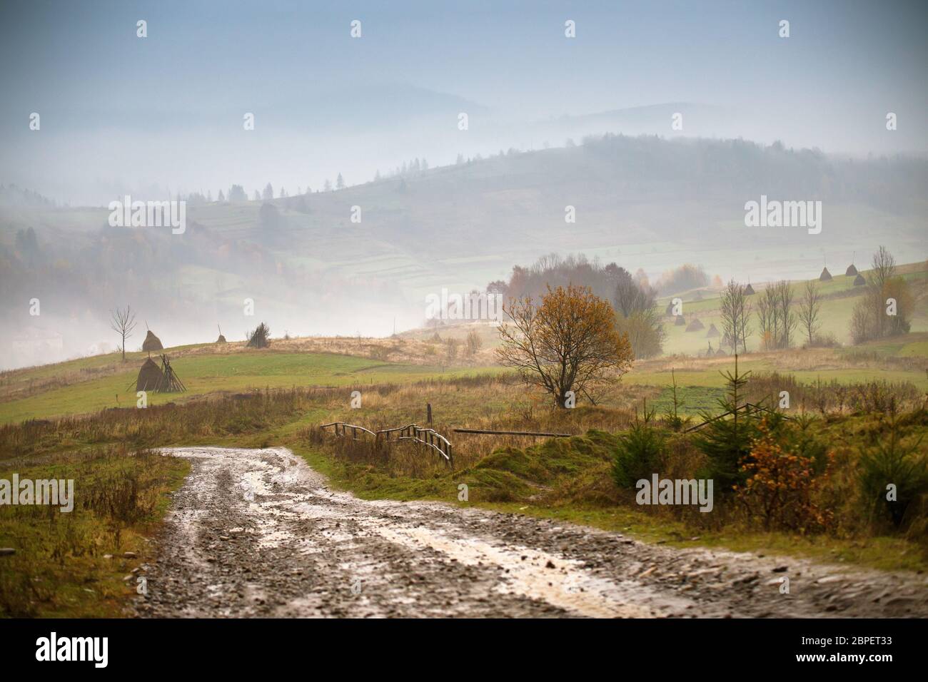 Extreme fog in village hi-res stock photography and images - Alamy