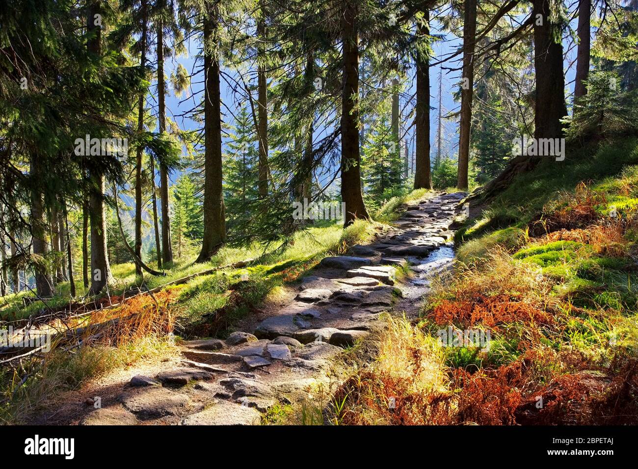 Wanderweg im Riesengebirge - typical hiking trail in Giant Mountains ...