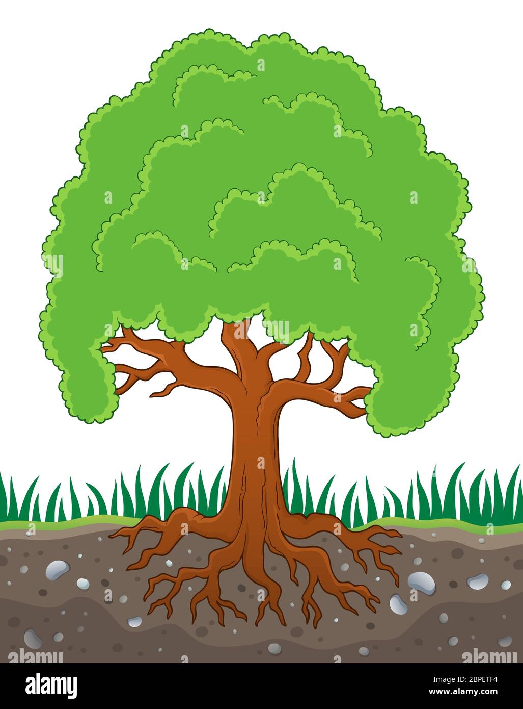 Tree with roots theme image 3 - picture illustration Stock Photo - Alamy