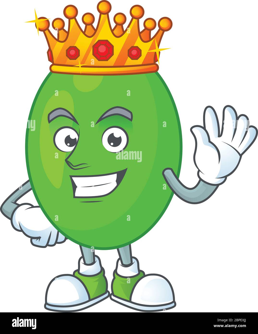 A charming King of tetrad cartoon character design with gold crown ...