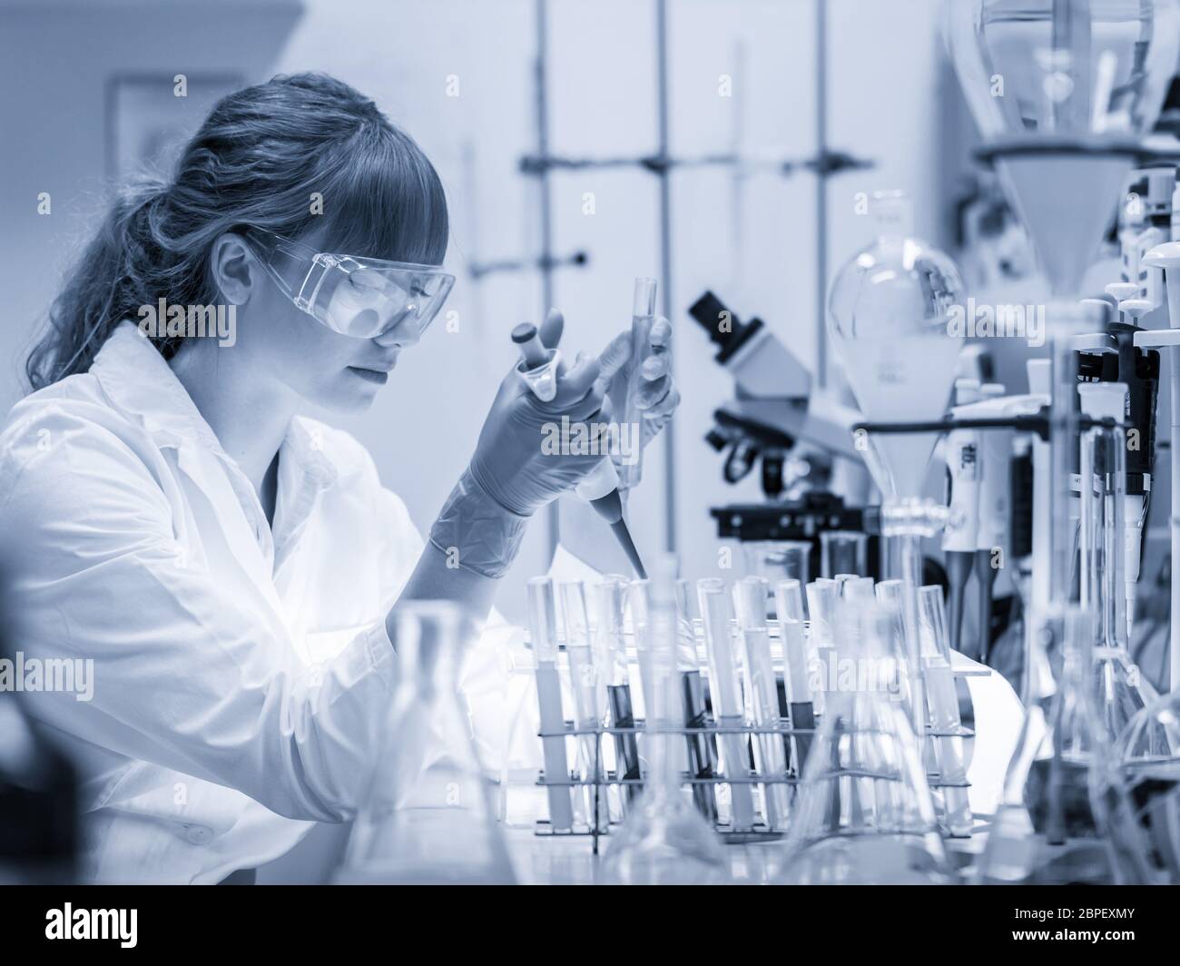 Life scientists researching in laboratory. Focused female science ...